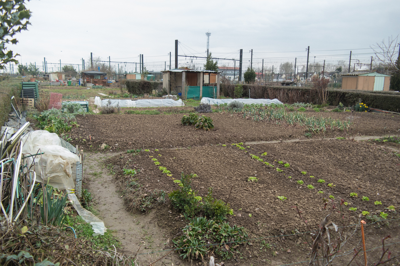 Trappes - Trucs et astuces pour réussir son jardin | La Gazette de ...